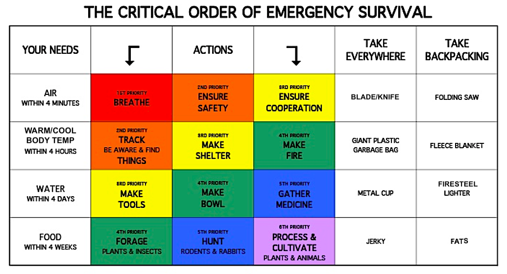 Transforming Rawhide - Traditional Hide Tanning to Make Buckskin Leather