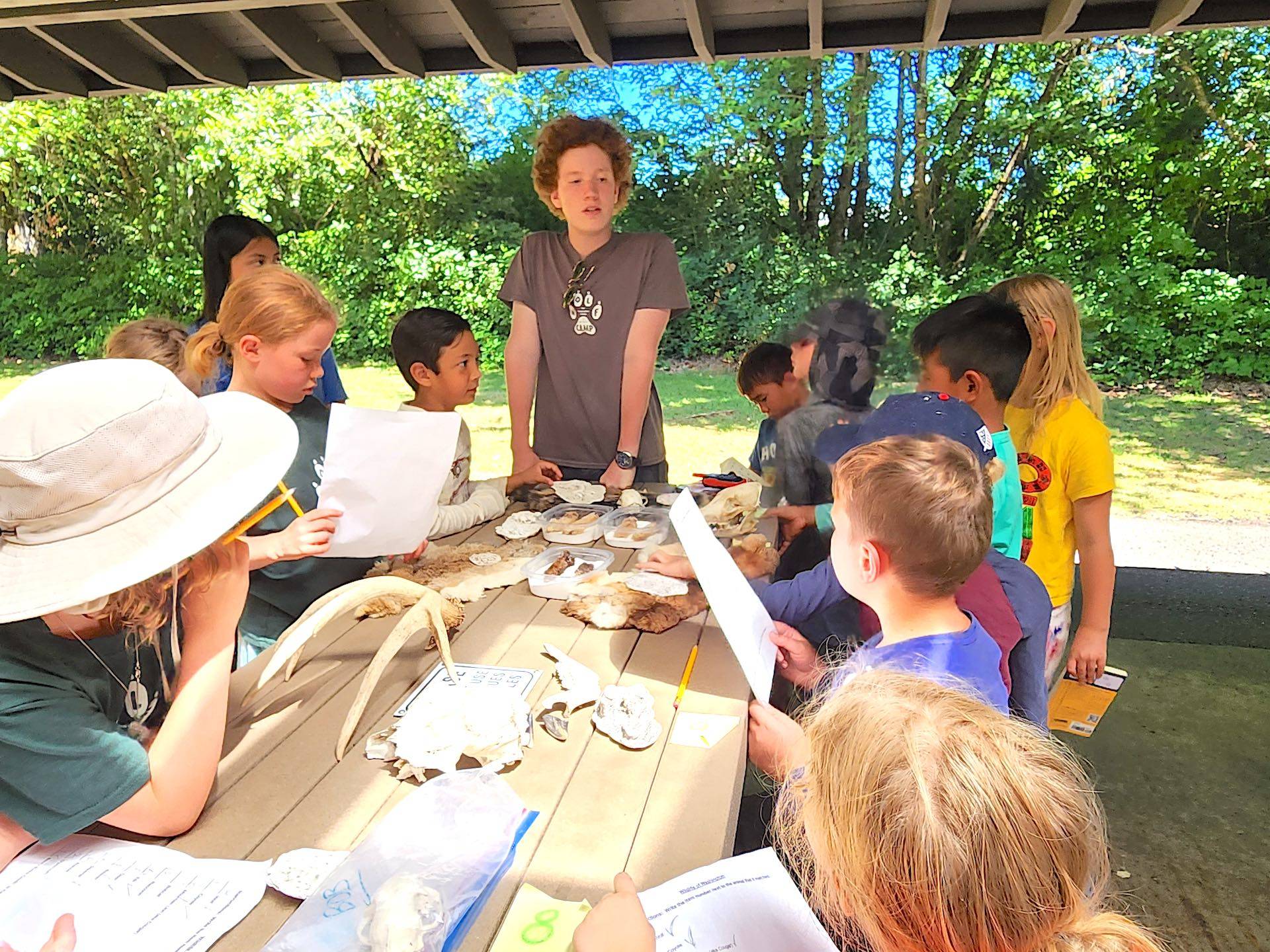 Wildlife Search & Rescue Day Camps at Lake Sammamish – Wolf Camp ...